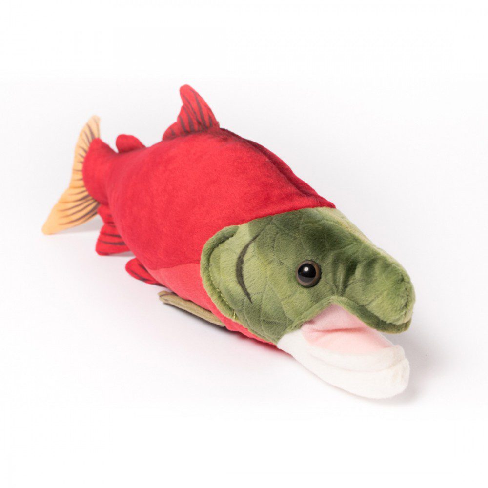 Cabin Critters | キャビンクリッターズ – キングサーモン – アーバンアイランダー | Urban Islander