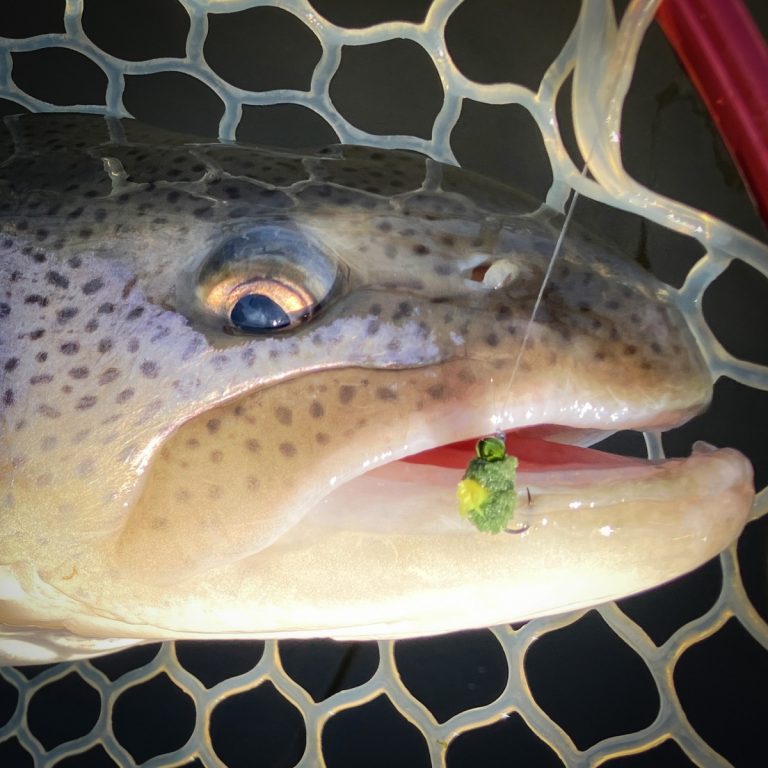 Fly Campers – Moffy Micro Mop Chenille – アーバンアイランダー | Urban Islander