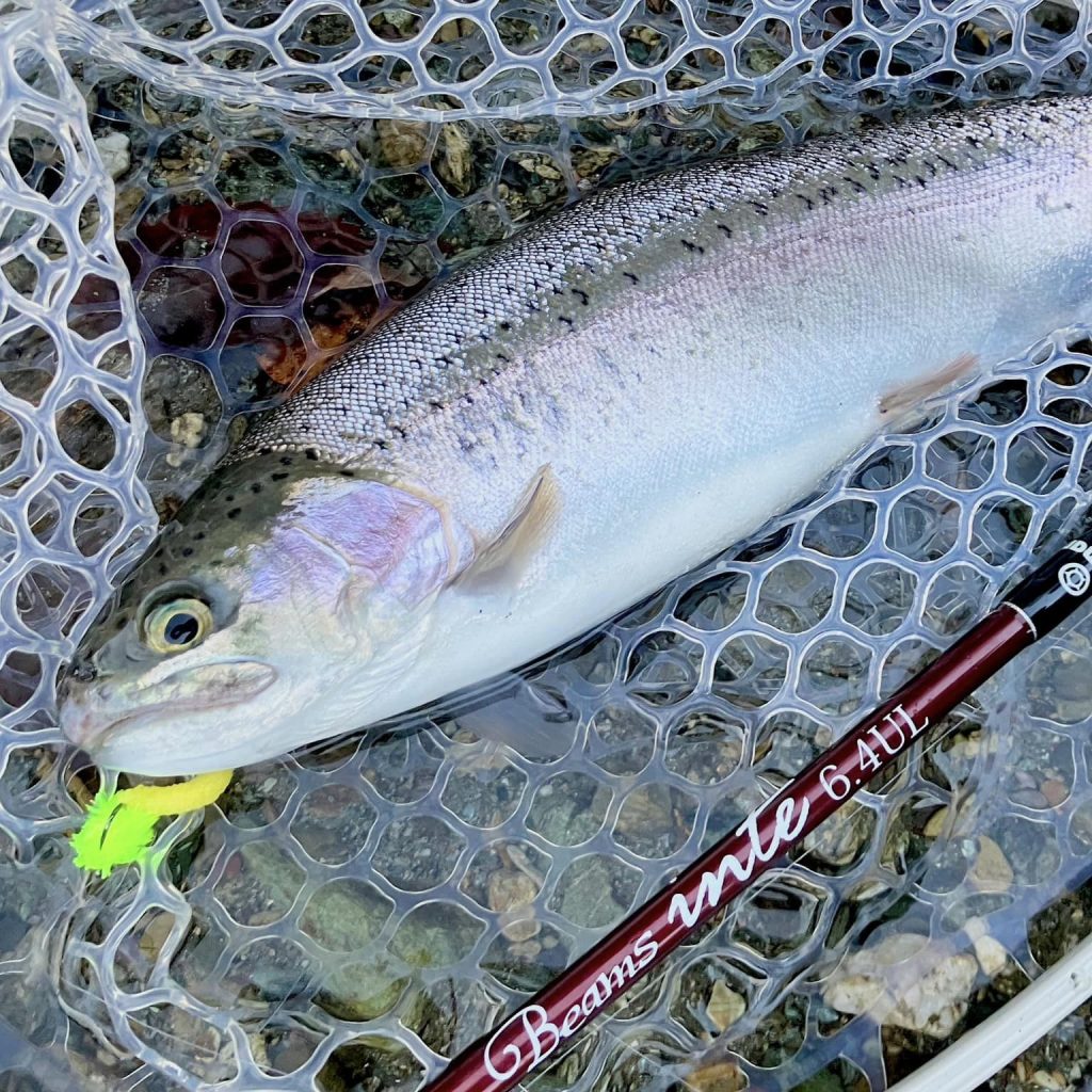 Fly Campers – Moffy Micro Mop Chenille – アーバンアイランダー | Urban Islander